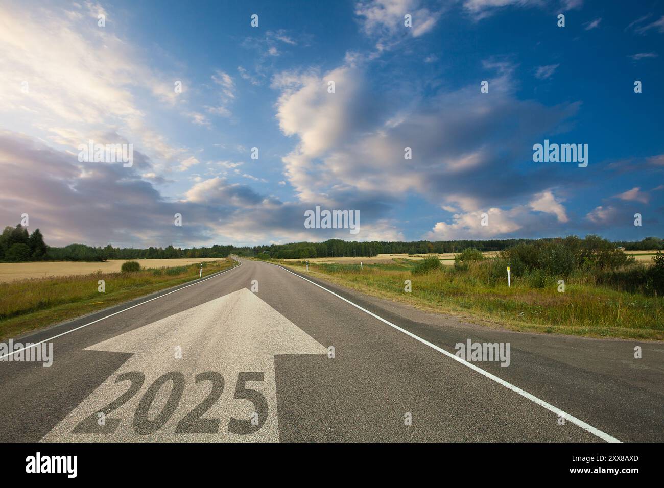 New Year 2025, future, strategy and success concept. Road with arrow in ...