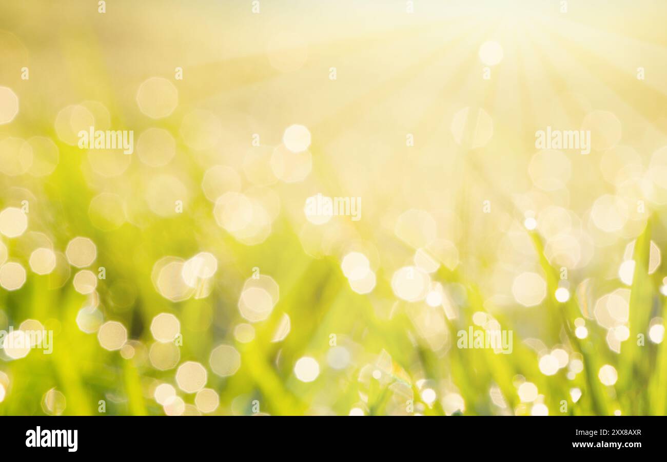 Shiny nature background with abstract sunlight glitter and blurred ...