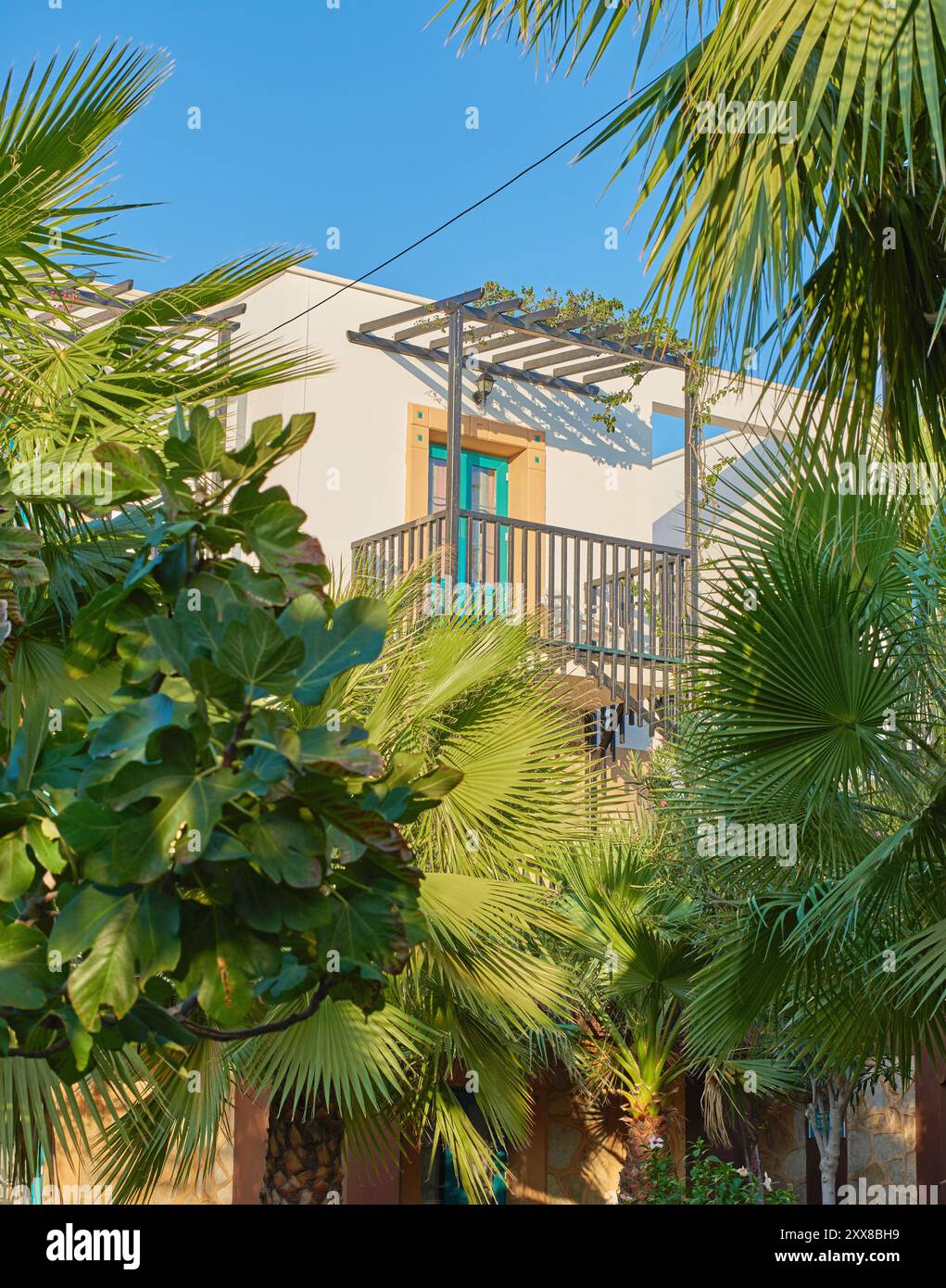 City, house and balcony with trees in nature with green garden ...