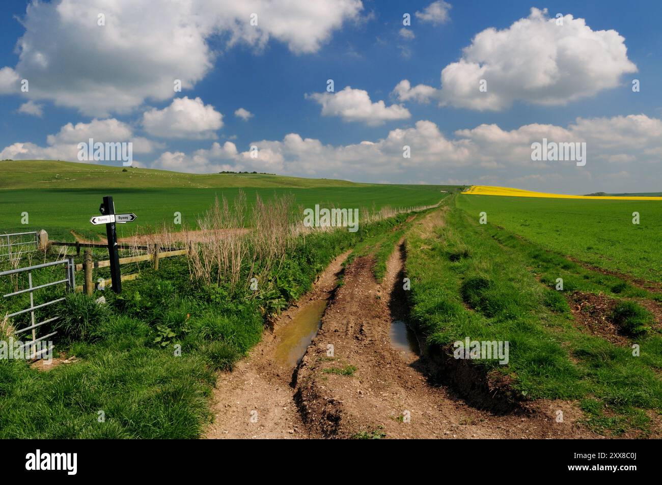 A rutted fieldside track along the route an old Roman road, heading ...