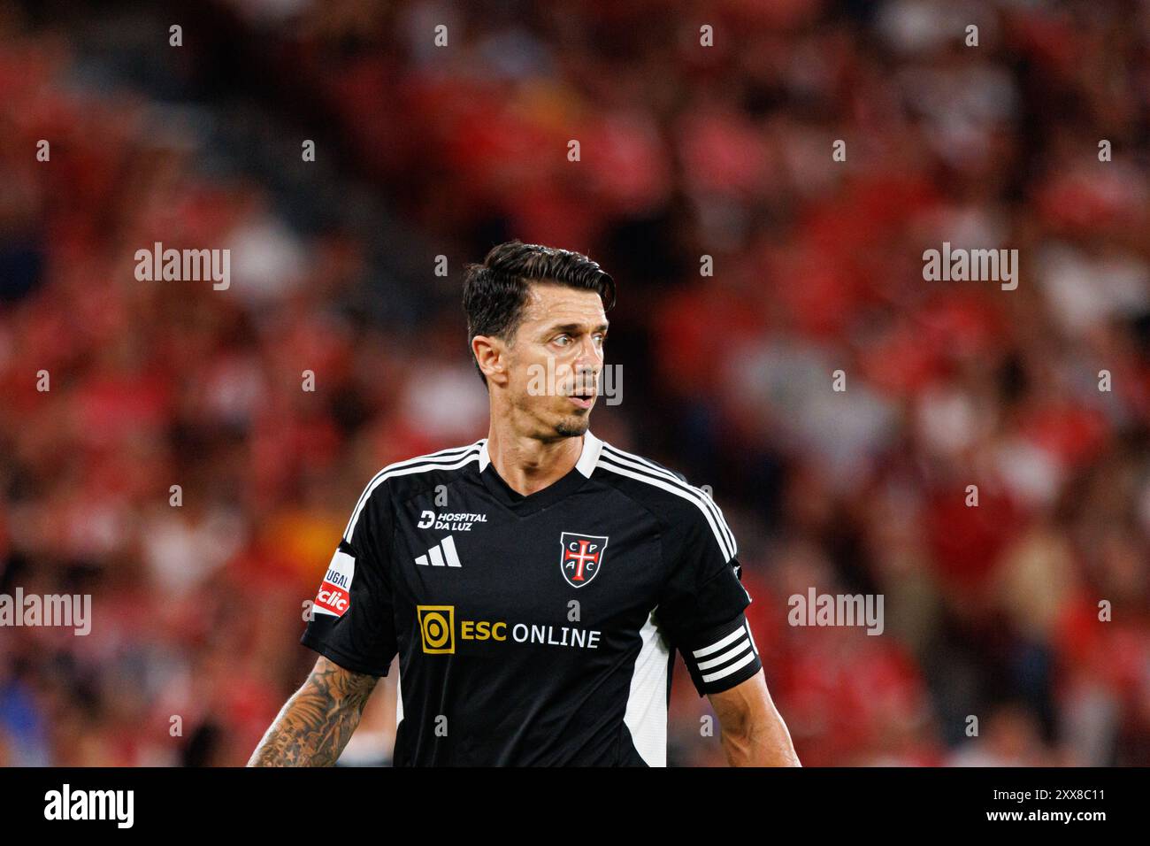 Jose Fonte seen during Liga Portugal game between teams of SL Benfica ...