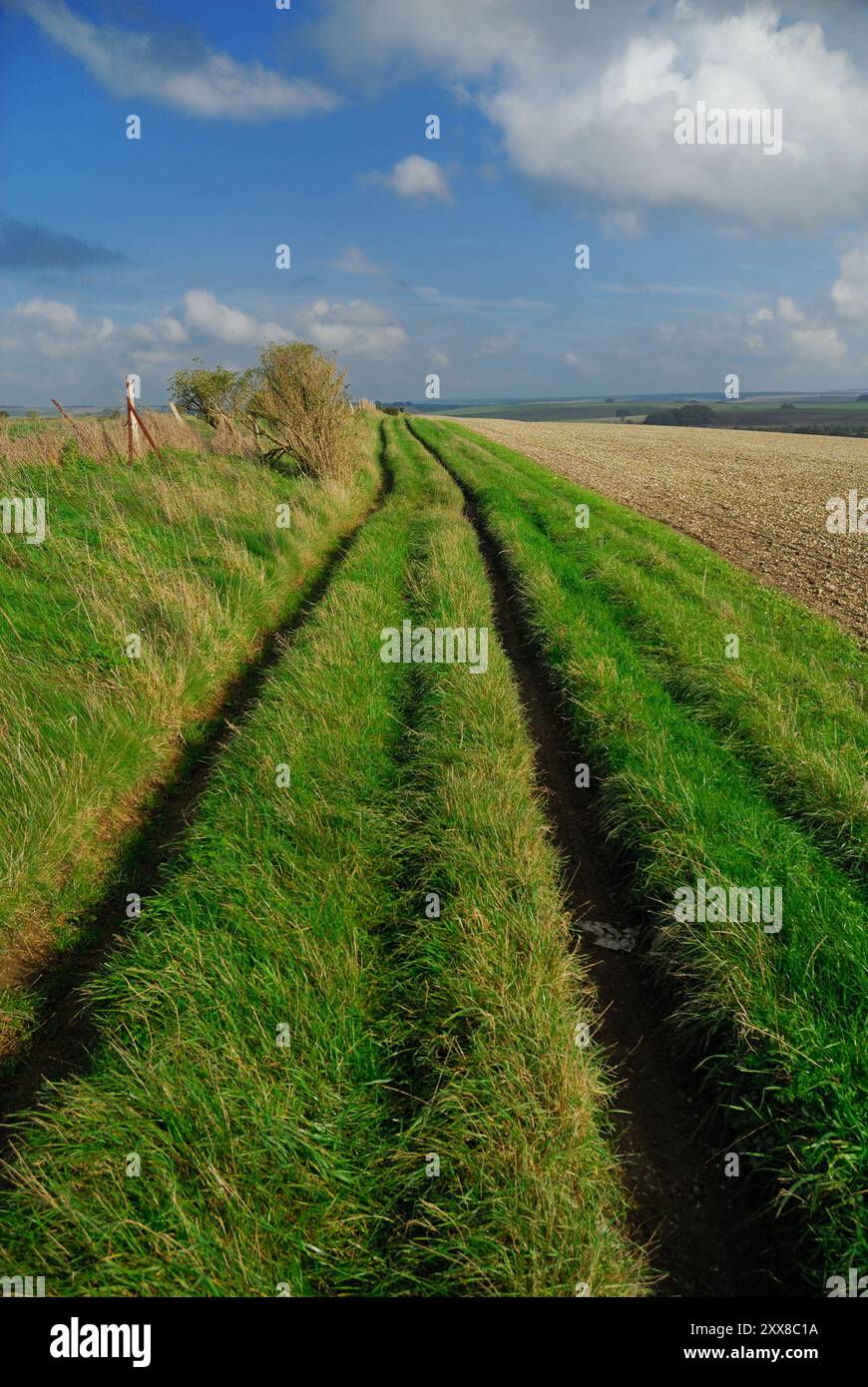 A rutted fieldside track following the route of on old Roman road ...