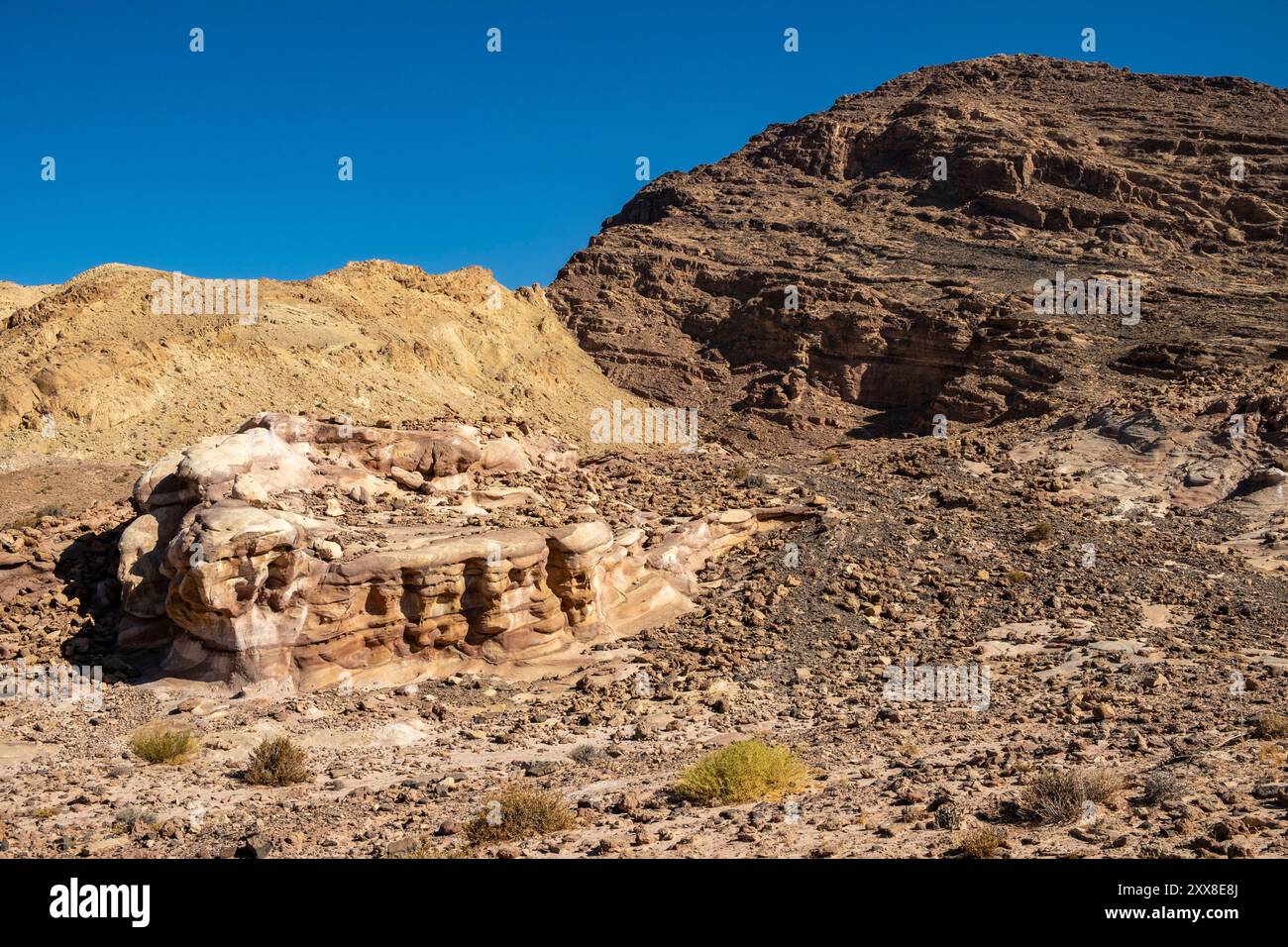 Sabrah hi-res stock photography and images - Alamy