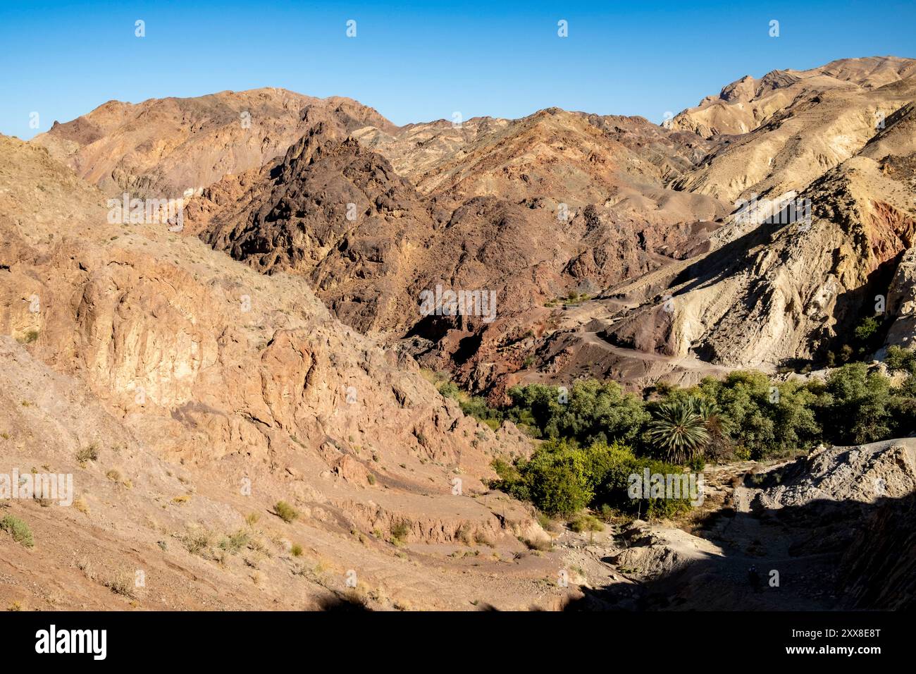 Jordan, landscape of the Wadi Sabrah with an oasis, South of Petra ...