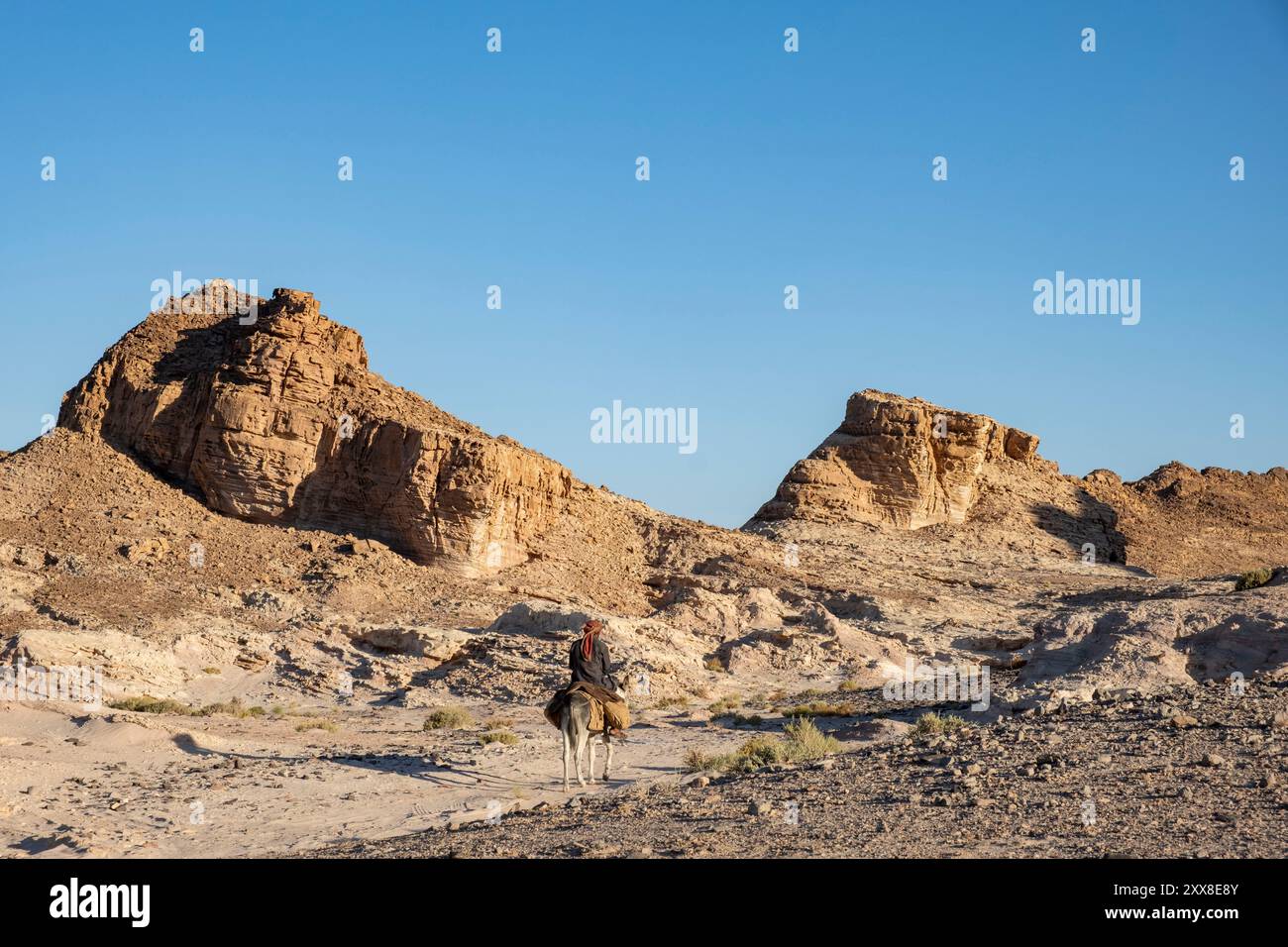 Jordan, Bedouin and his donkey in the Wadi Sabrah, South of Petra Stock ...