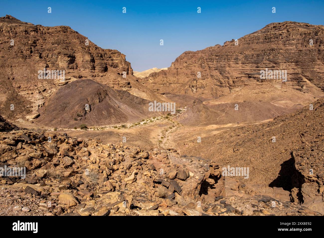 Jordan, landscape of the Rainbow Valley South of Petra Stock Photo - Alamy