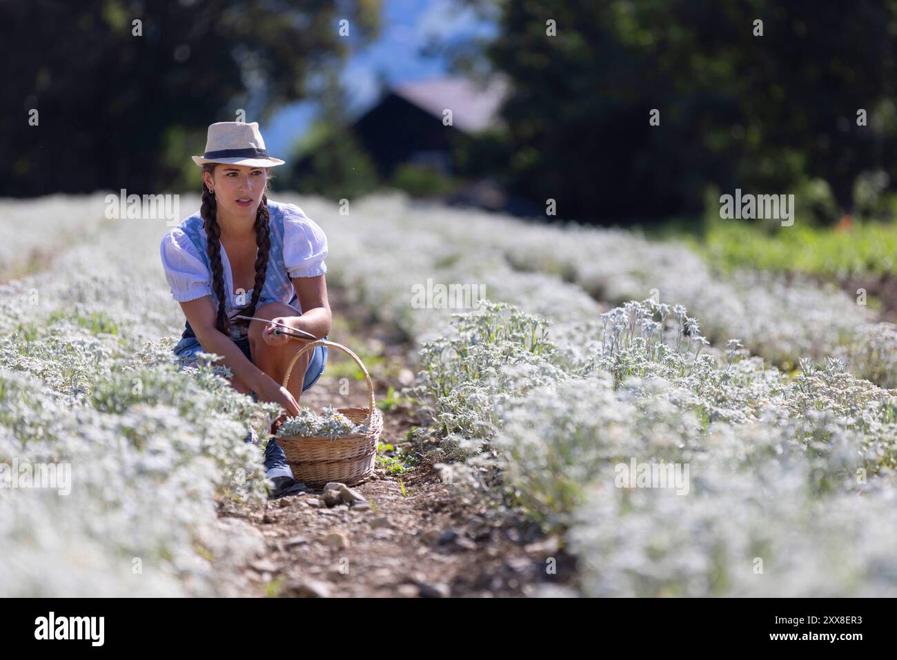 Switzerland, Canton of Valais, Saxon, Young girl in traditional ...