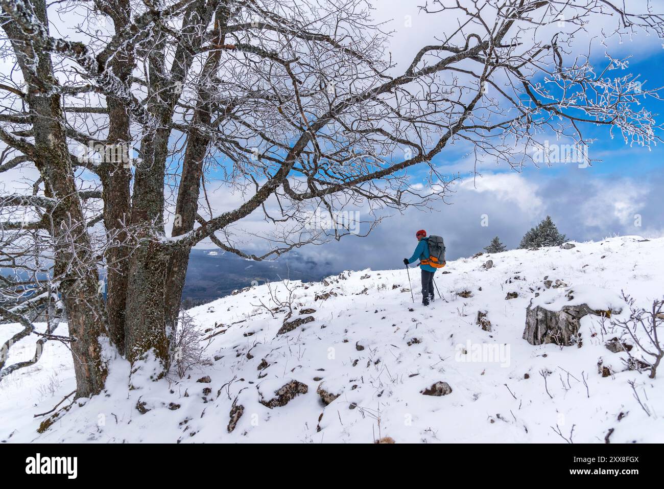 France, Ain, Jura Massif, Regional Nature Park, Crêt de la Goutte hike ...