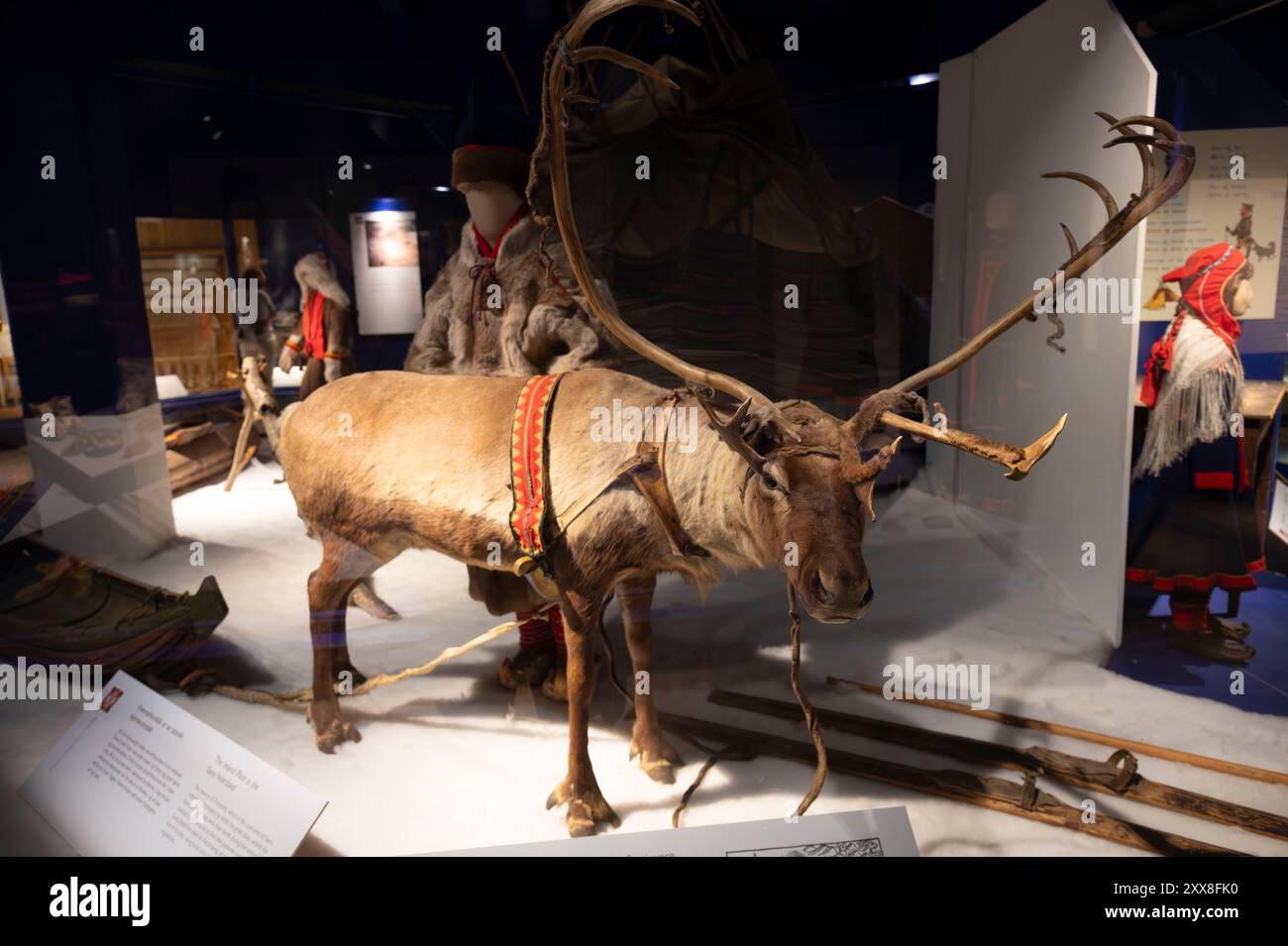 Norway, Oslo, Bygdoy, museum of Norwegian folklore, Sami exhibition ...