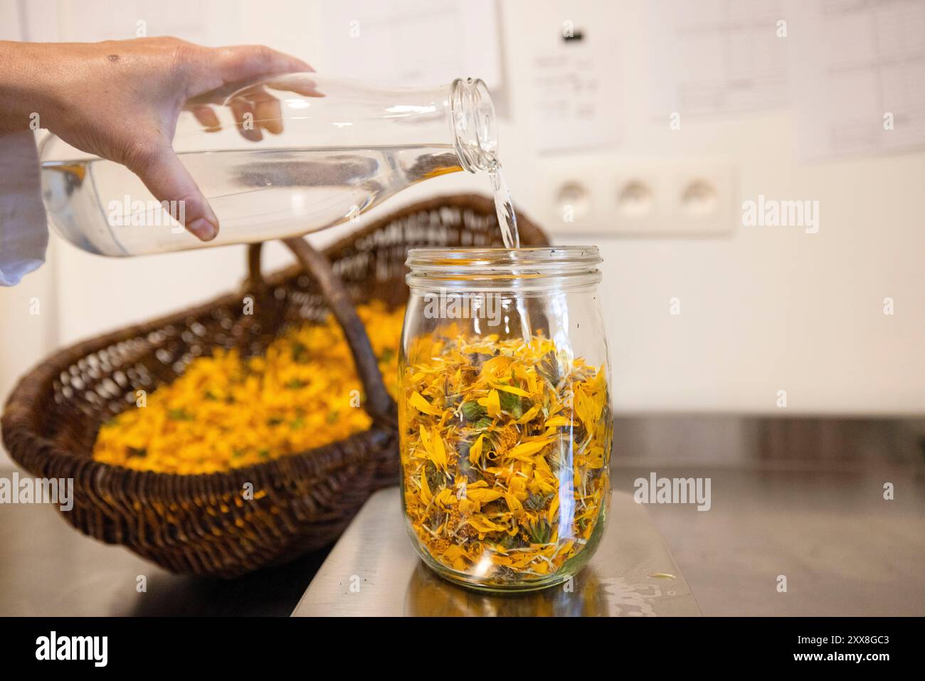 Hydroalcoholic maceration hi-res stock photography and images - Alamy