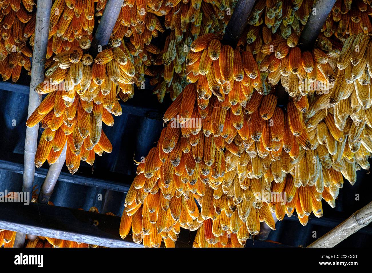 Vietnam, Yen Bai province, Mu Cang Chai, house of Hmong ethnic group ...