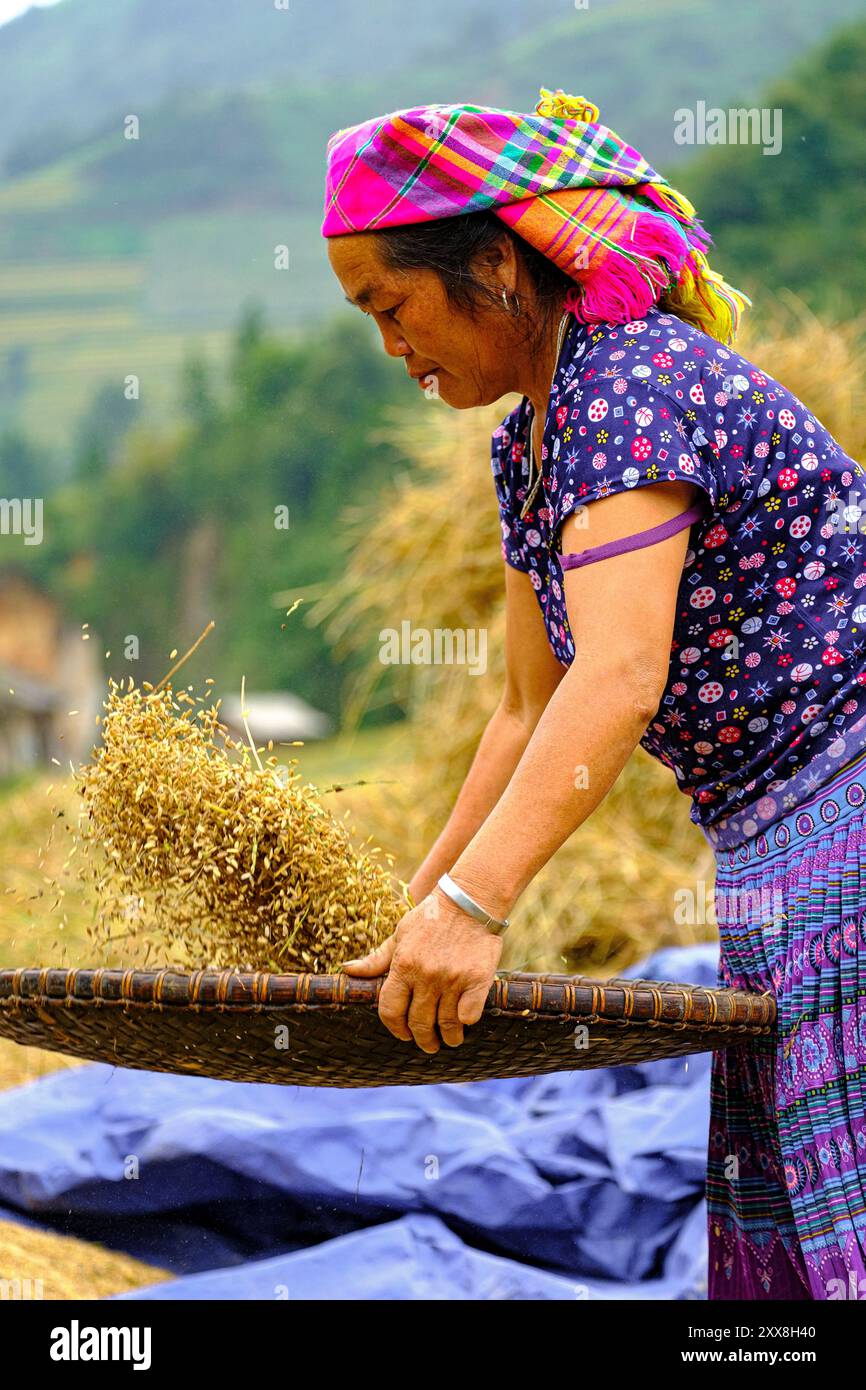Vietnam, Yen Bai province, Mu Cang Chai, woman of Hmong ethnic group ...