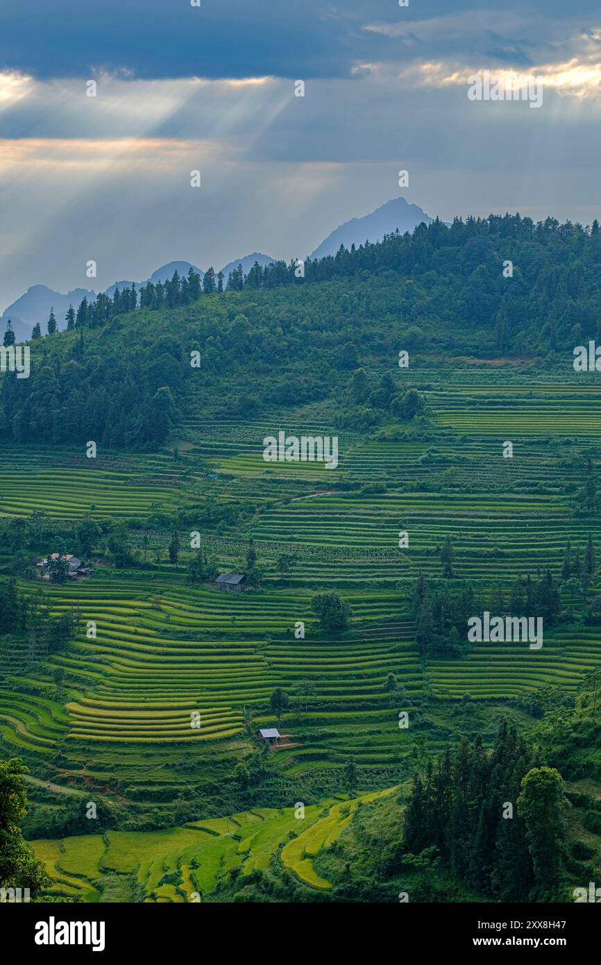 Bac hi-res stock photography and images - Alamy