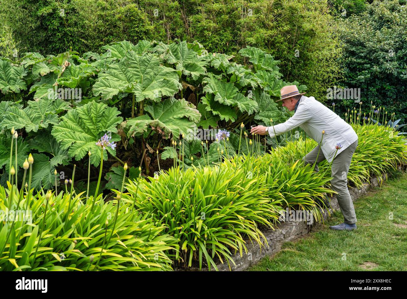 France, Manche, La Hague, Botanical garden of Vauville castle Stock ...