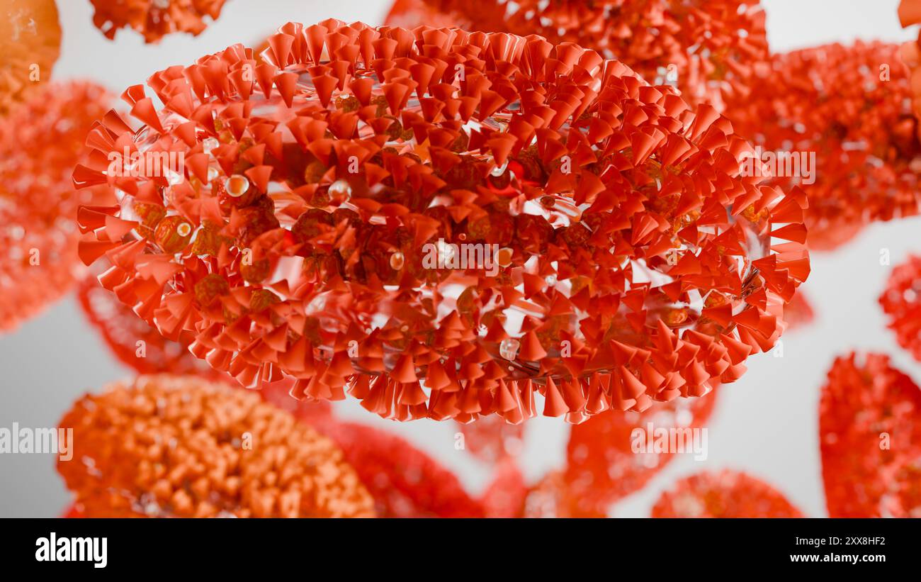 Monkeypox infection pandemic. monkeypox cell, symptoms or precautions ...