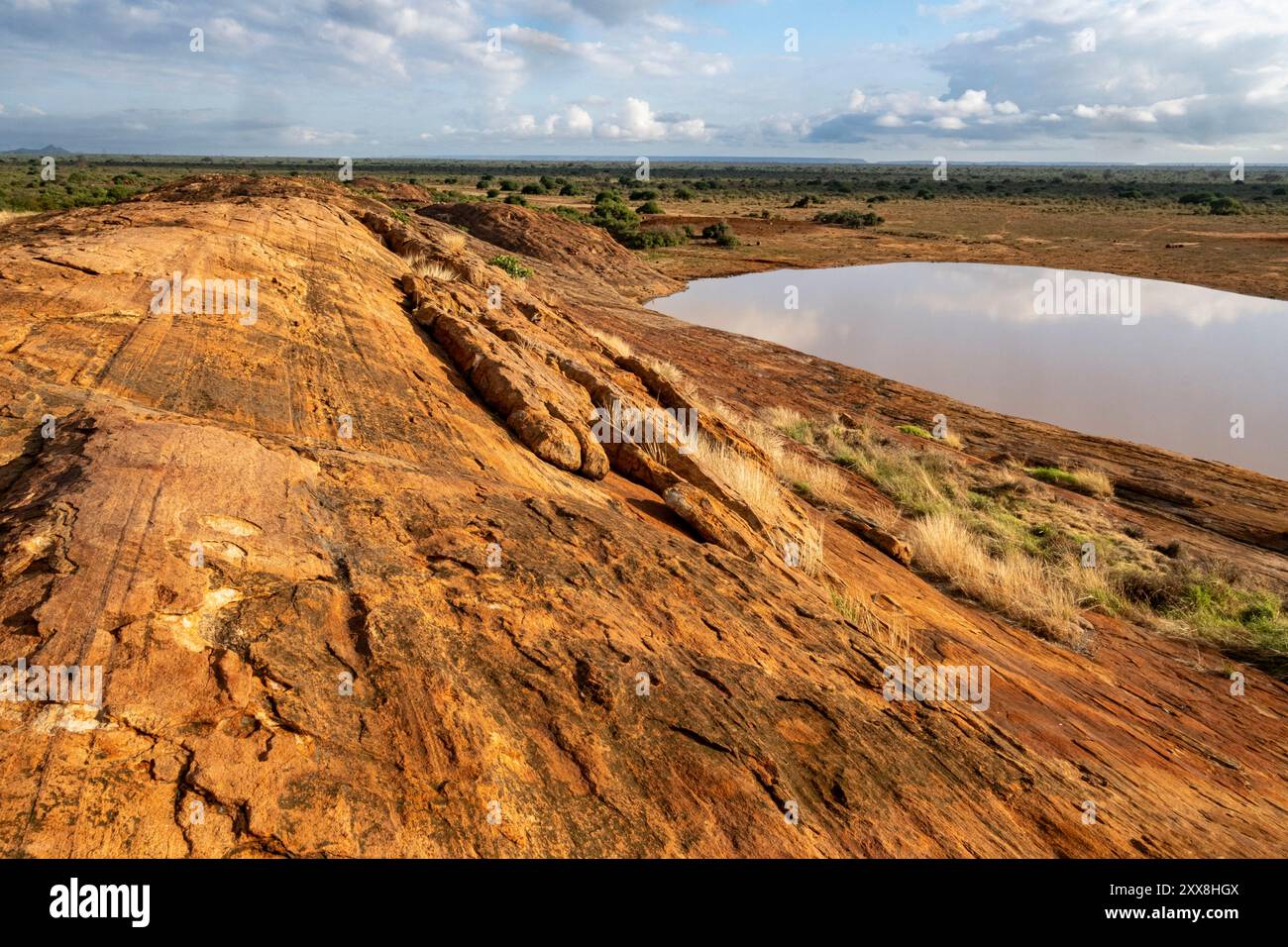 Kenya, Tsavo East national park, Mudanda rock Stock Photo - Alamy