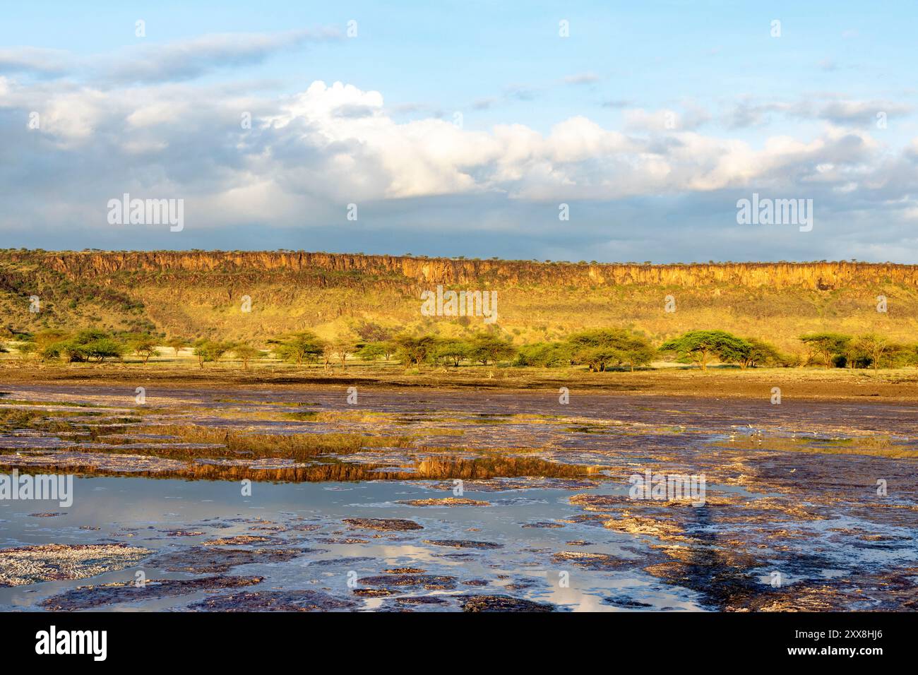 Kenya, lake Magadi, Rift valley, soda at dawn Stock Photo - Alamy