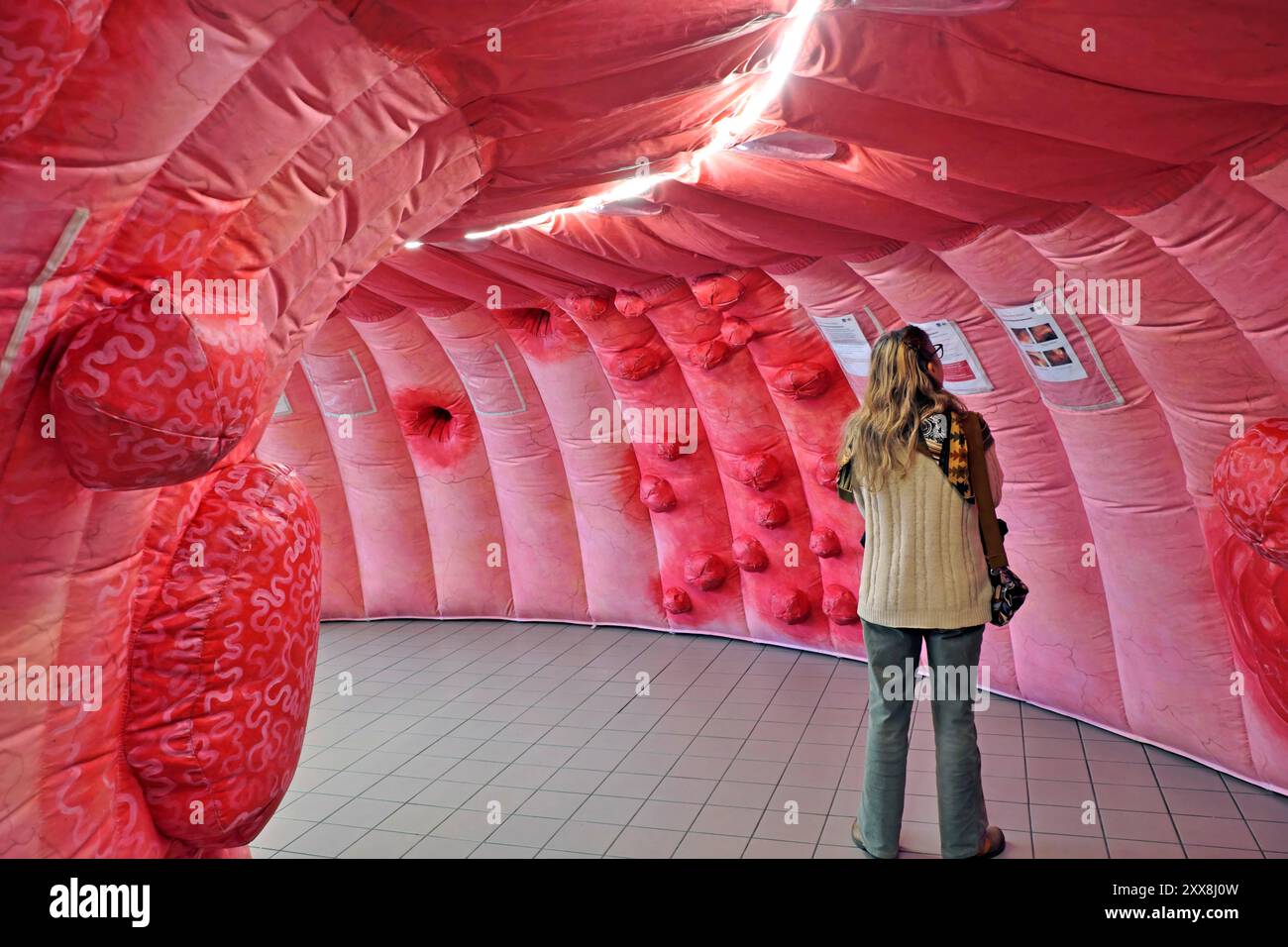 France, Haute Saone, Hericourt, hall, exhibition, Mars Bleu, colorectal ...