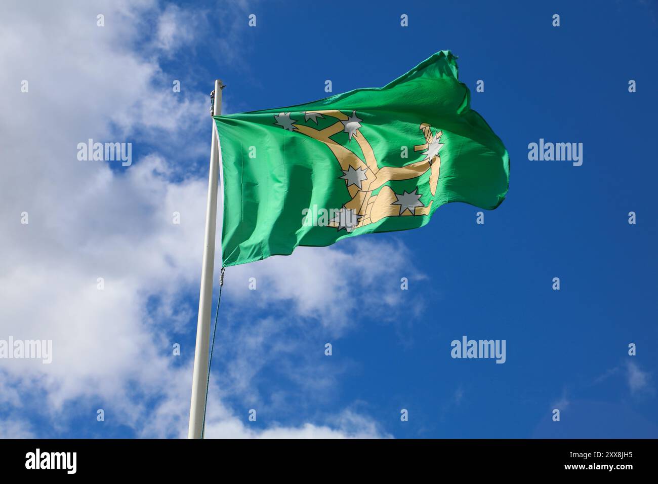 Starry Plough flag also known as Plough and Stars. Flag in Northern ...