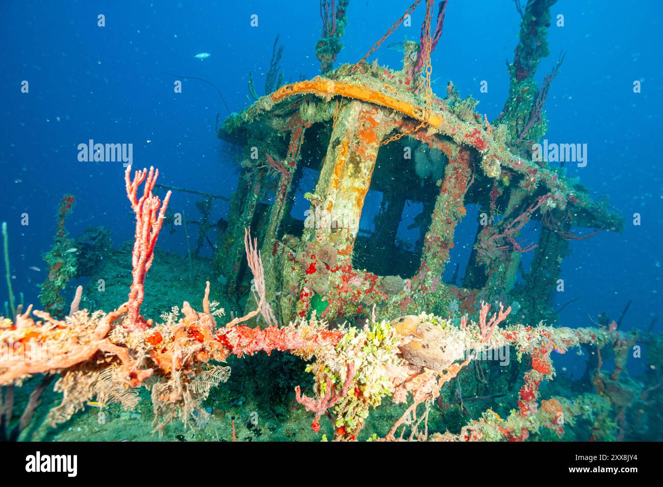 Honduras, Utila, Halliburton Wreck Stock Photo - Alamy