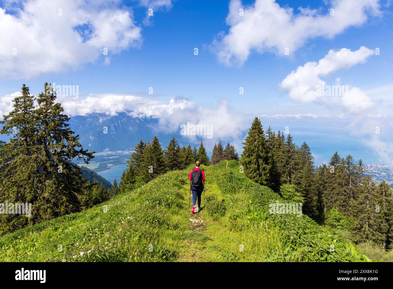 Switzerland, canton of Vaud, Montreux, hike towards the Rochers de Naye ...