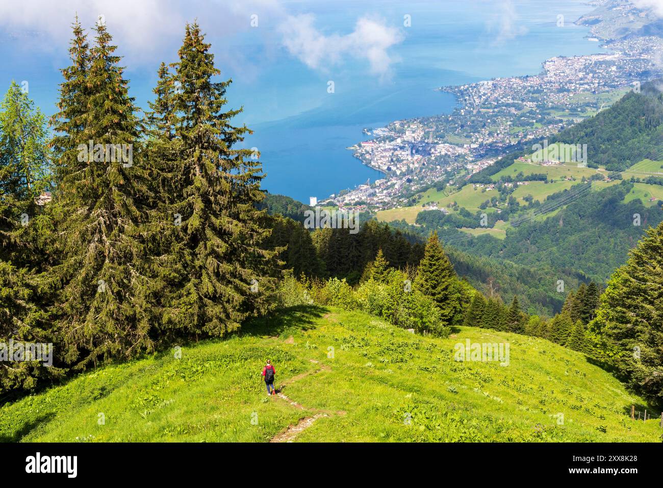 Switzerland, canton of Vaud, Montreux, hike towards the Rochers de Naye ...