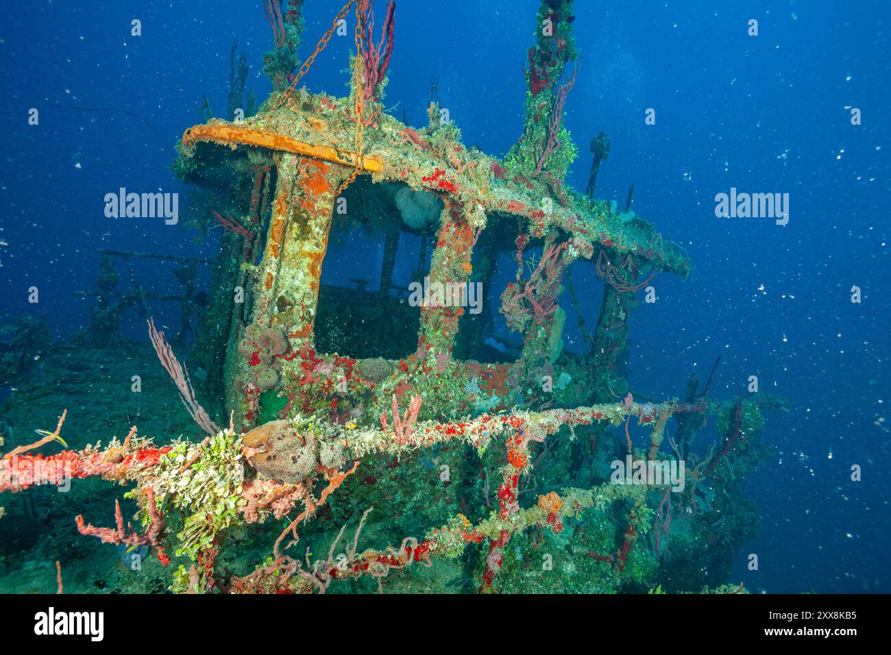 Honduras, Utila, Halliburton Wreck Stock Photo - Alamy