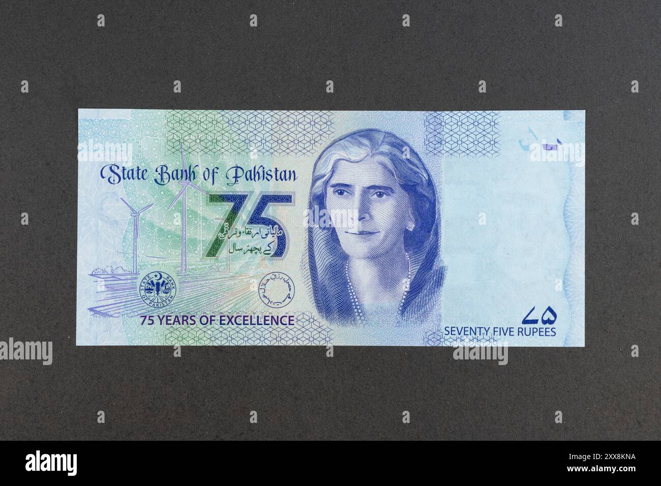 Commemorative Pakistani 75 Rupees Banknote Feathering Fatima Jinnah ...