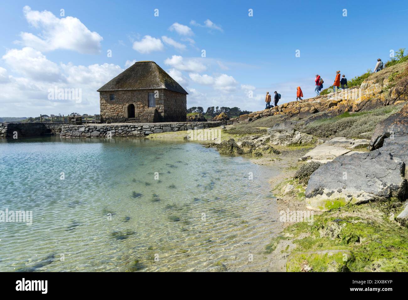 France, Côtes d'Armor (22), Bréhat, A day of visit on the island of ...