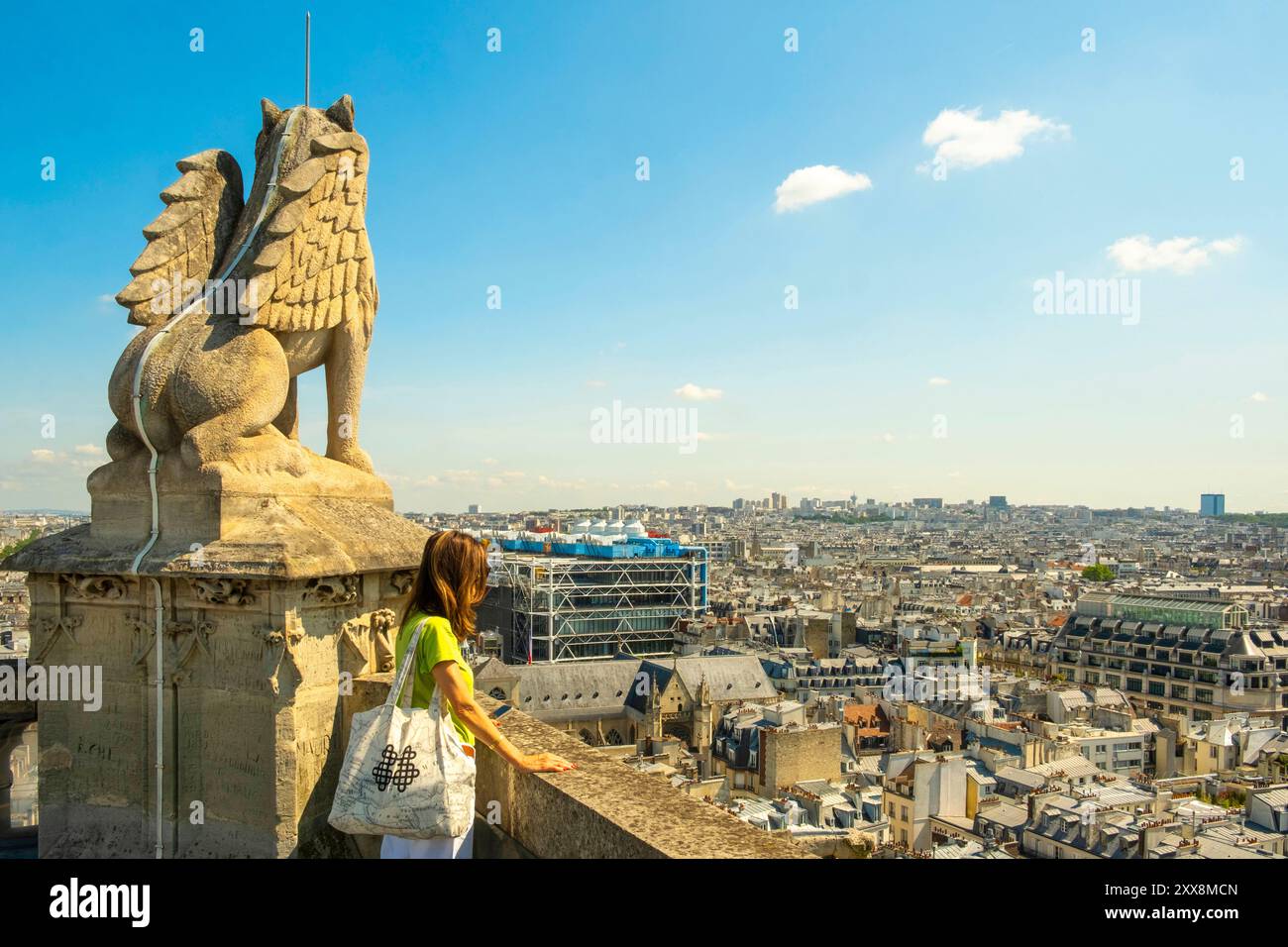 France, Paris, view of the rooftops of Paris with the Georges Pompidou ...