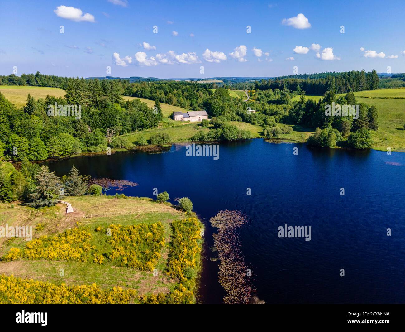 France, Correze, Saint Merd les Oussines, Oussines pond, Millevaches regional natural park in ...