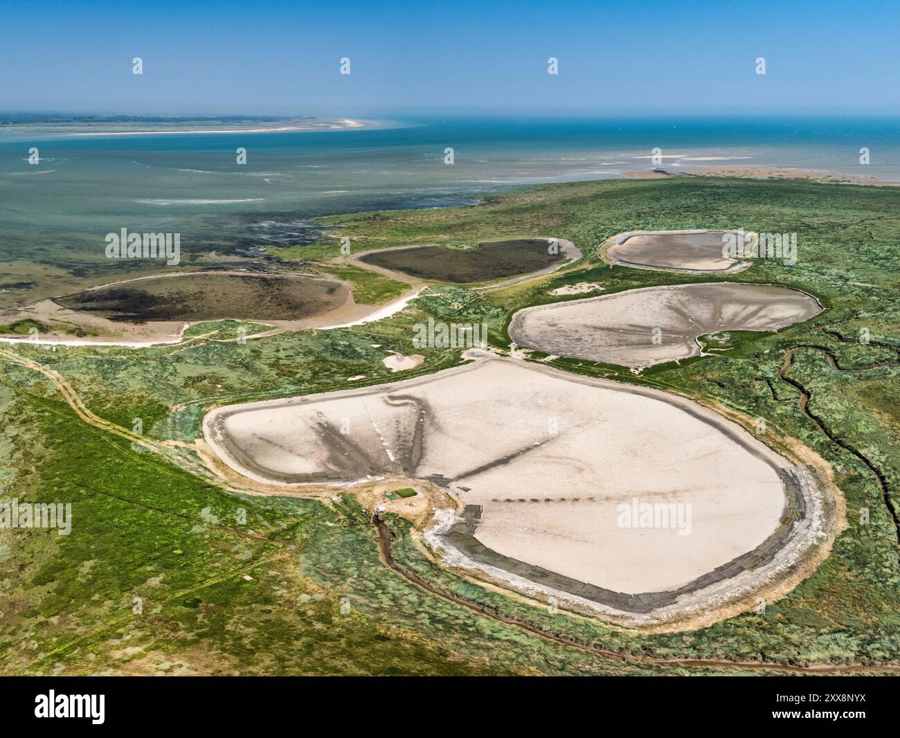 France, Manche, Carentan-les-Marais, channels and gabions in the ...