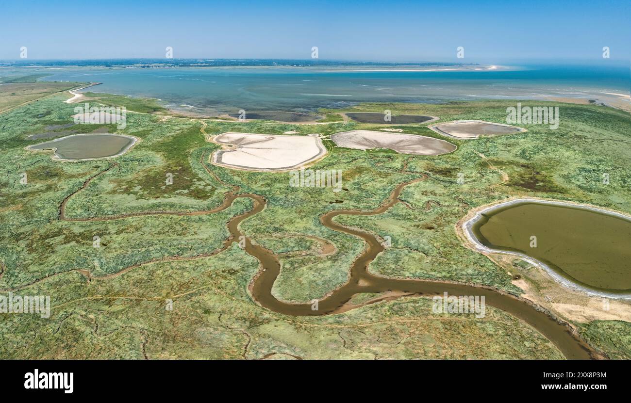 France, Manche, Carentan-les-Marais, channels and gabions in the ...