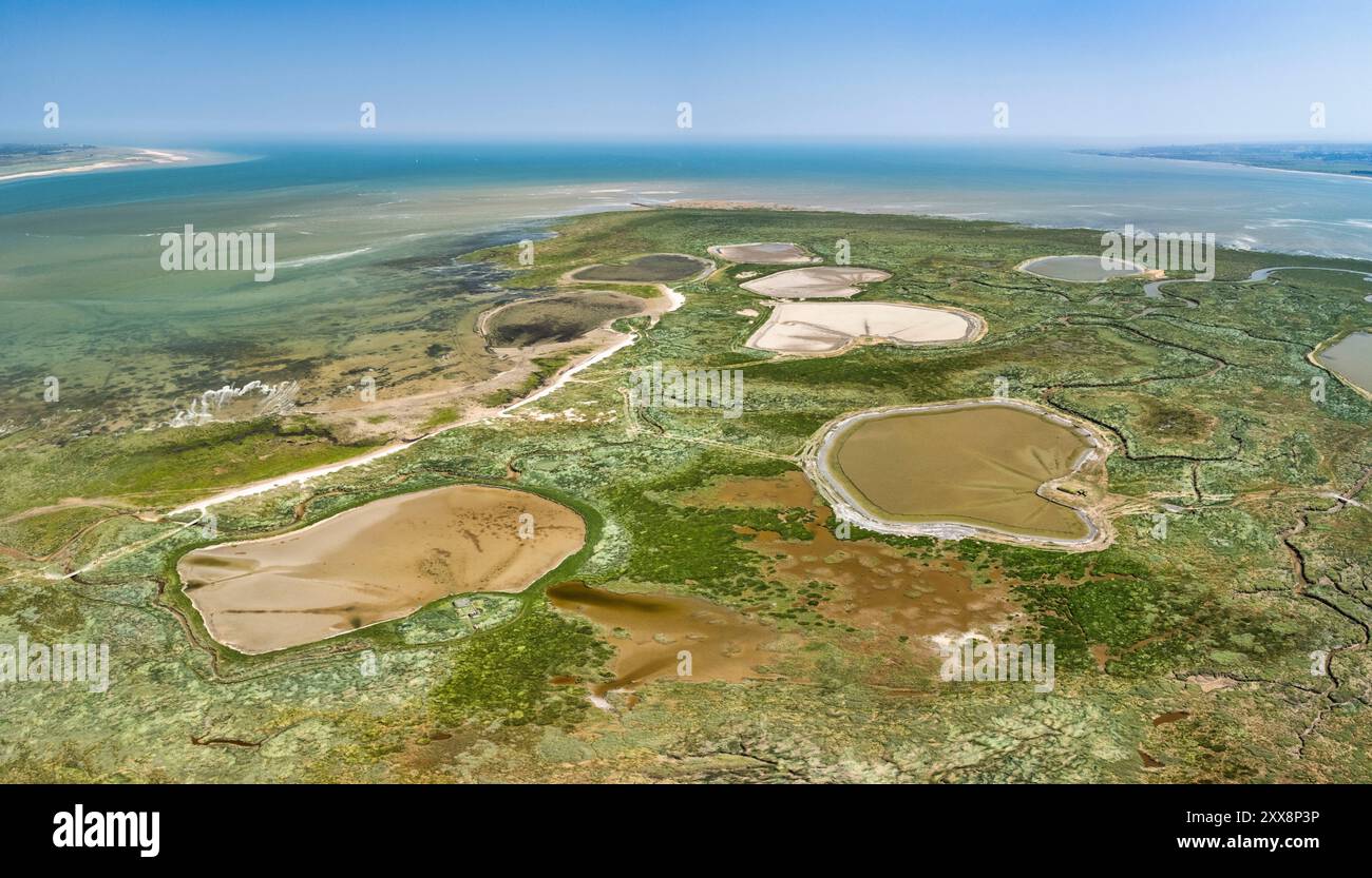France, Manche, Carentan-les-Marais, channels and gabions in the ...