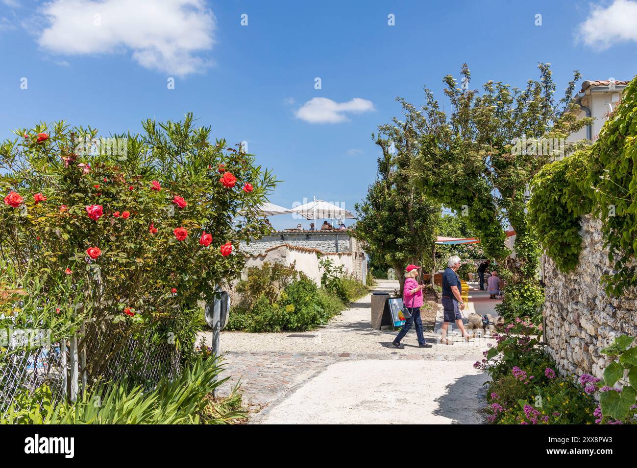 France, Charente-Maritime, Talmont-sur-Gironde, labeled The Most ...