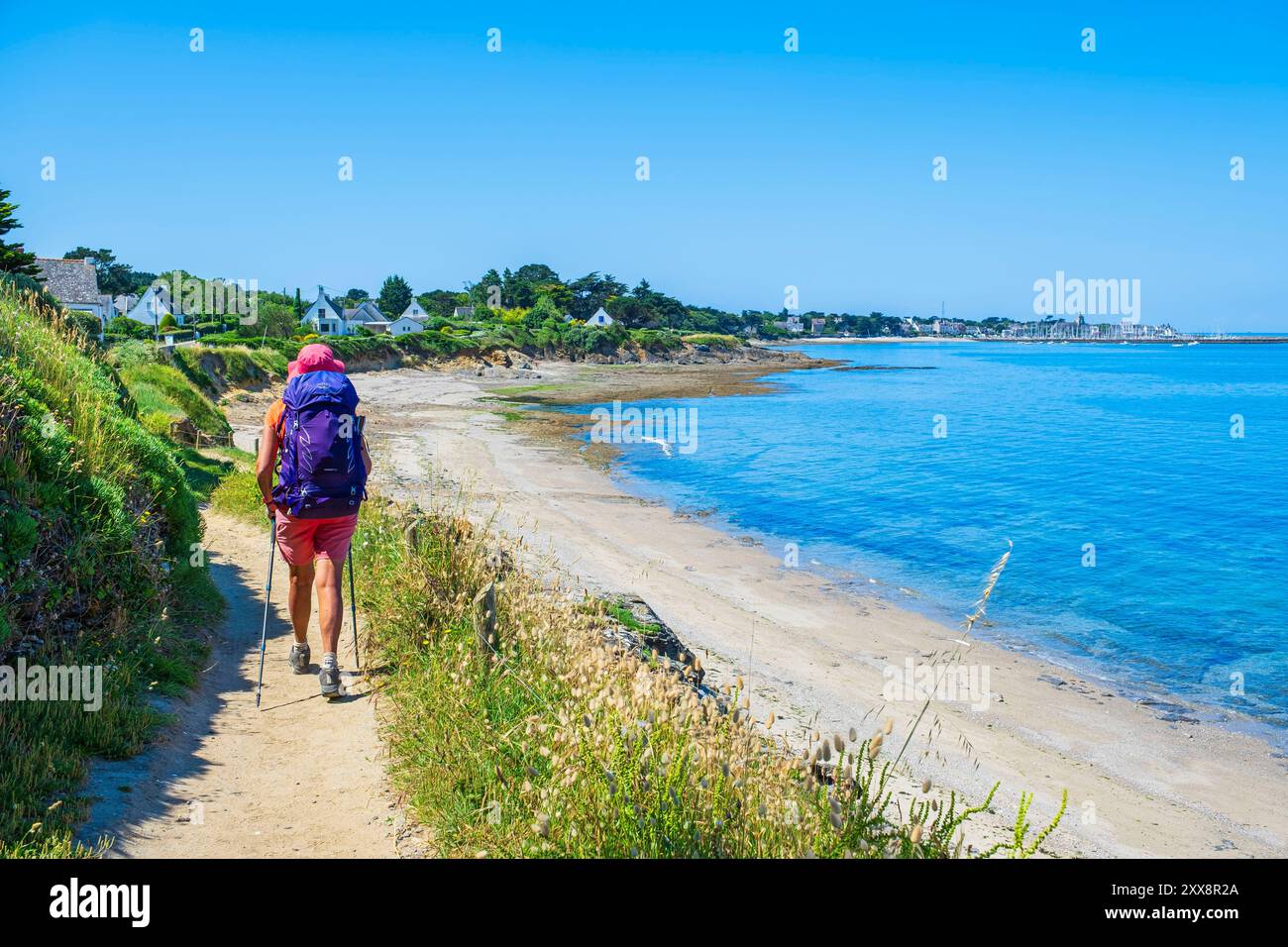 France, Loire Atlantique, Guerande peninsula, Piriac-sur-Mer, hike on ...