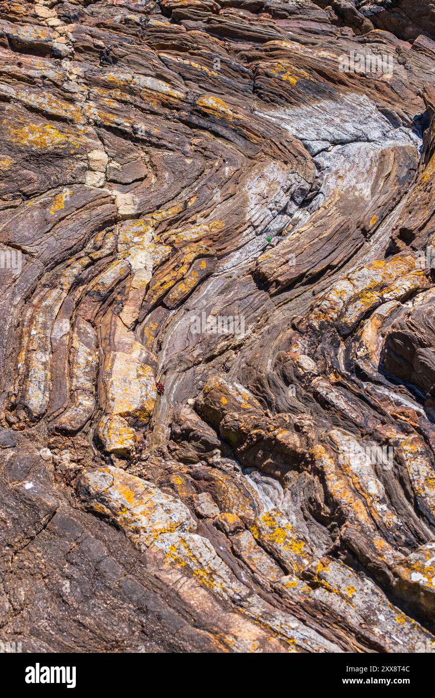 France, Morbihan, Gulf of Morbihan, Arzon, Port Navalo on the GR 34 ...