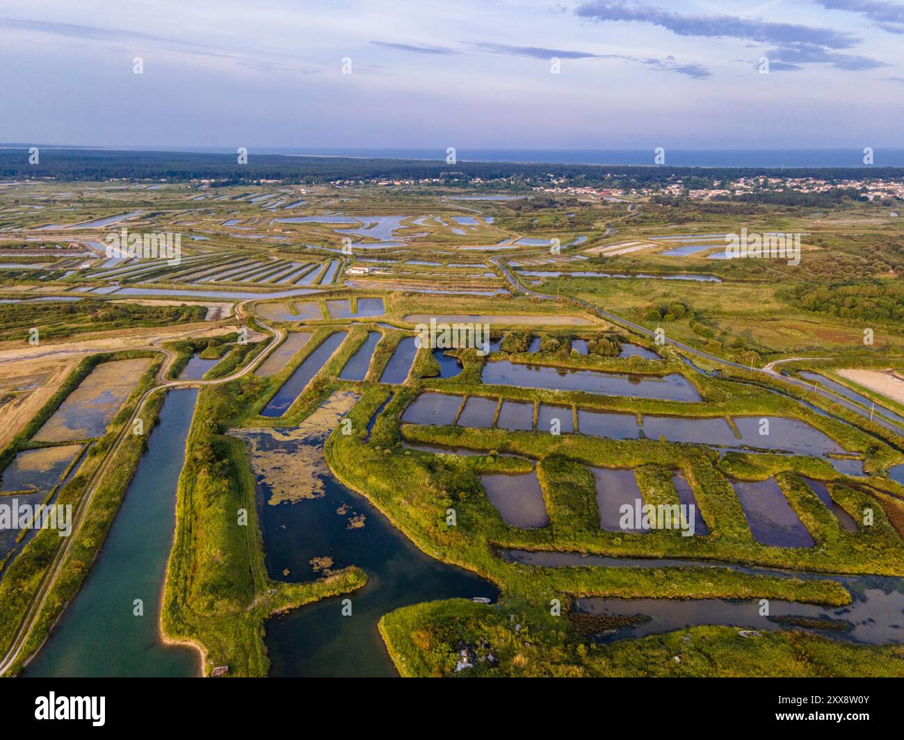 France, Charente Maritime, Le Chateau d'Oleron, marshes around Ors ...