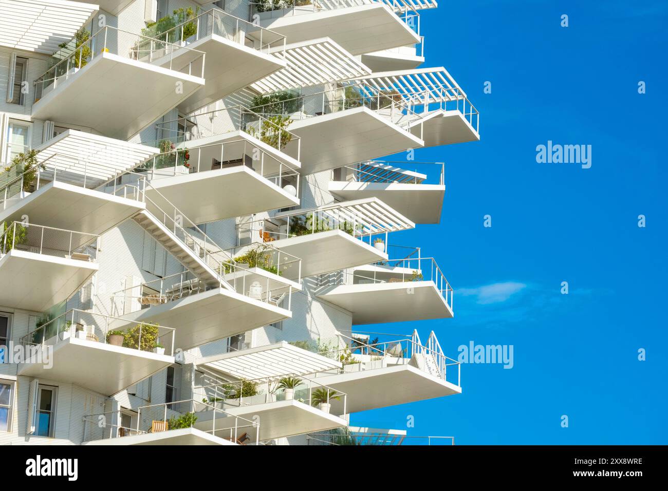 France, Herault, Montpellier, Richter district, the L'Arbre Blanc ...