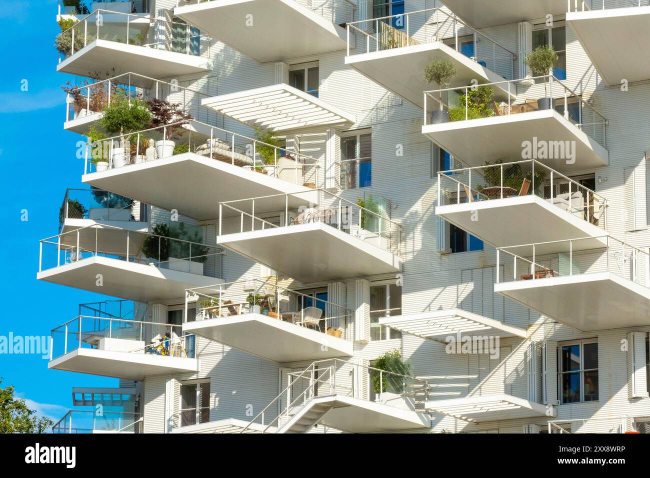 France, Herault, Montpellier, Richter district, the L'Arbre Blanc ...