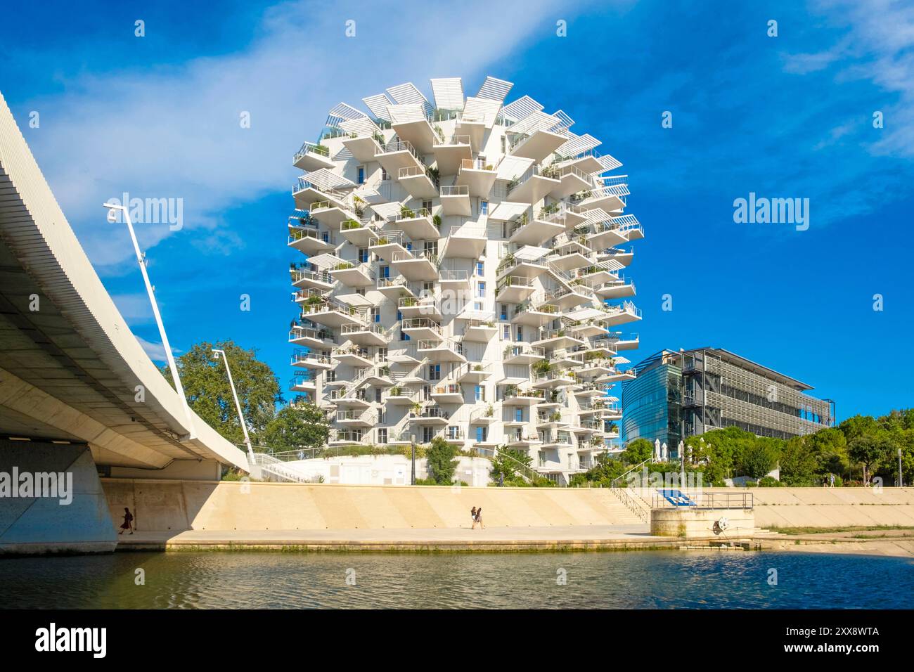 France, Herault, Montpellier, Richter district, the banks of the Lez ...