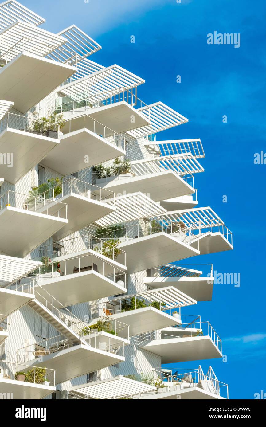 France, Herault, Montpellier, Richter district, the L'Arbre Blanc ...