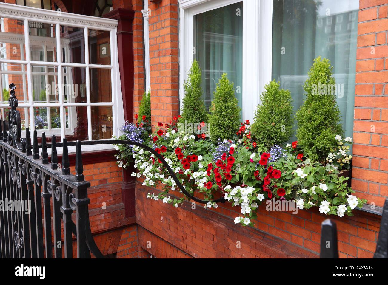 London house - window flowers in Mayfair district. Begonias mixed with ...