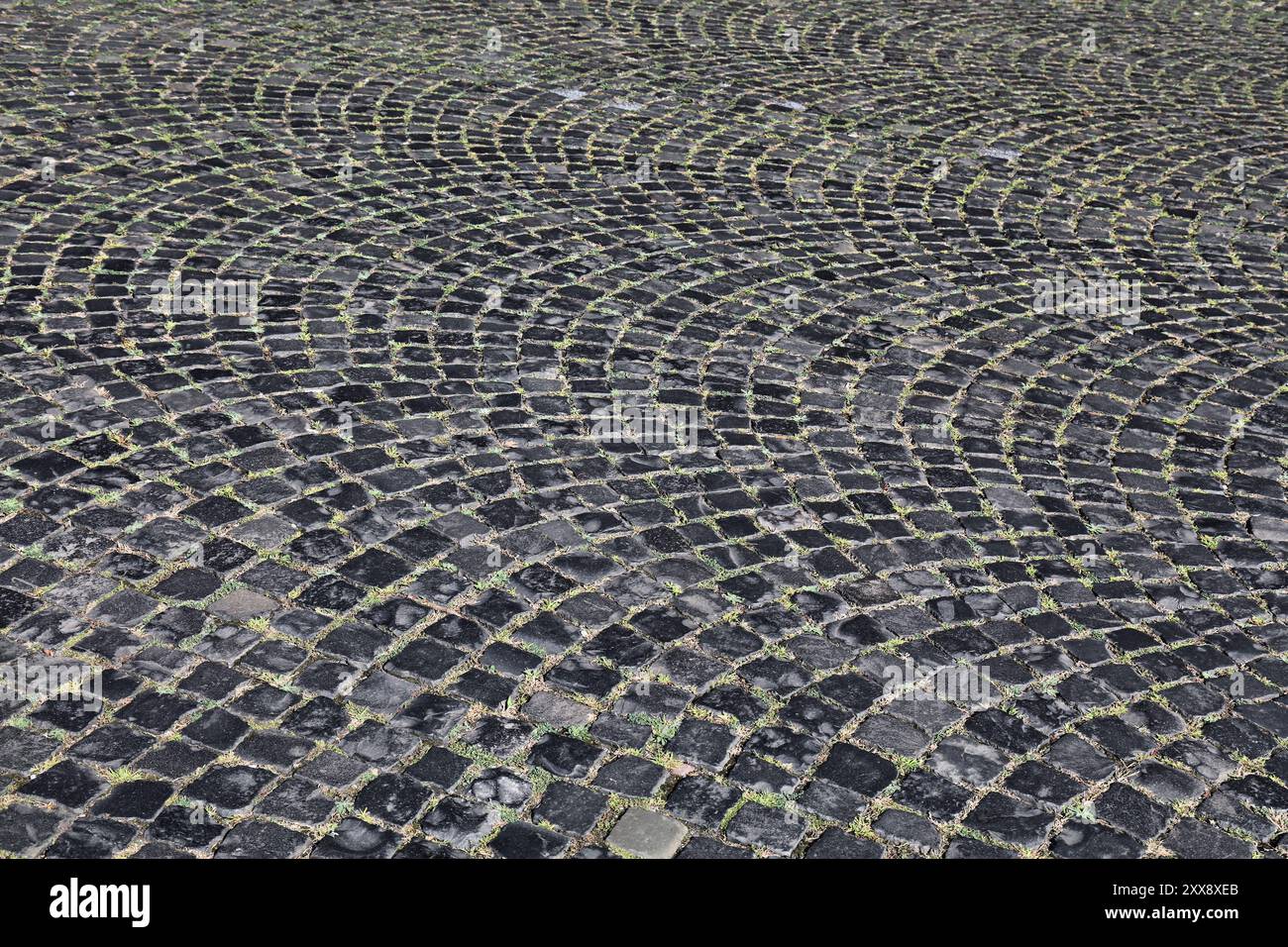 Stone paved street. Old stone pavement with grass between cobbles ...
