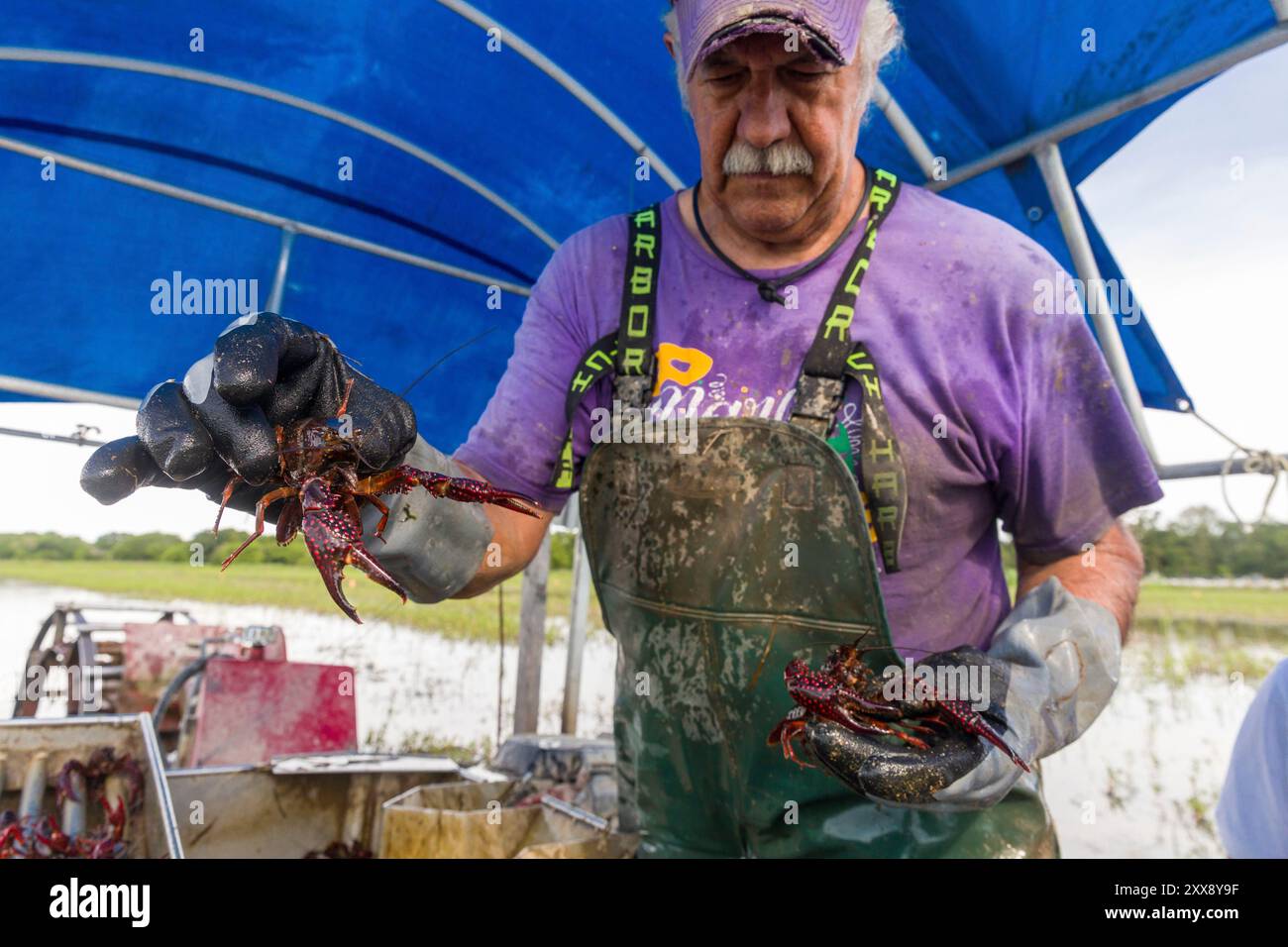 United States, Louisiana, Indian Bayou, Randy S. Comeaux fisherman and ...