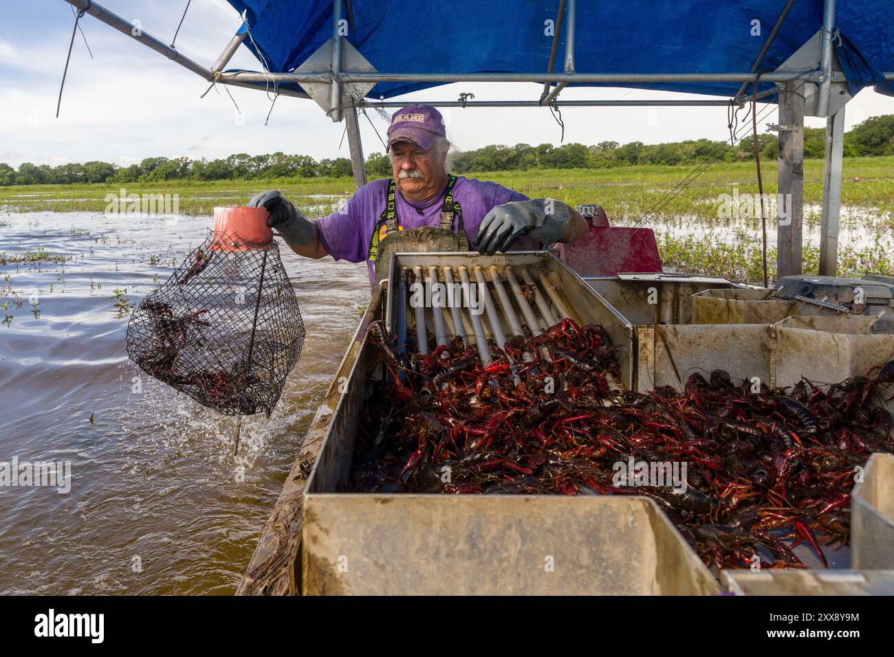 United States, Louisiana, Indian Bayou, Randy S. Comeaux fisherman and ...