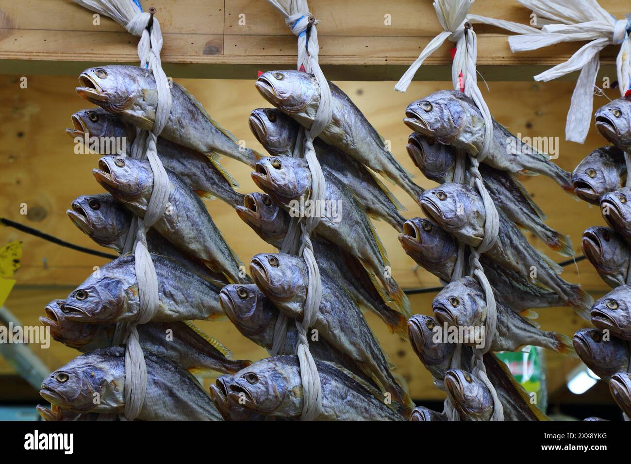 Fish market in Seoul, South Korea. Dried yellow corvina known as gulbi ...