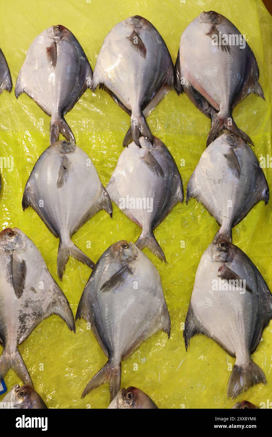 Fish market in Seoul, South Korea. Silver pomfret fish also known as ...