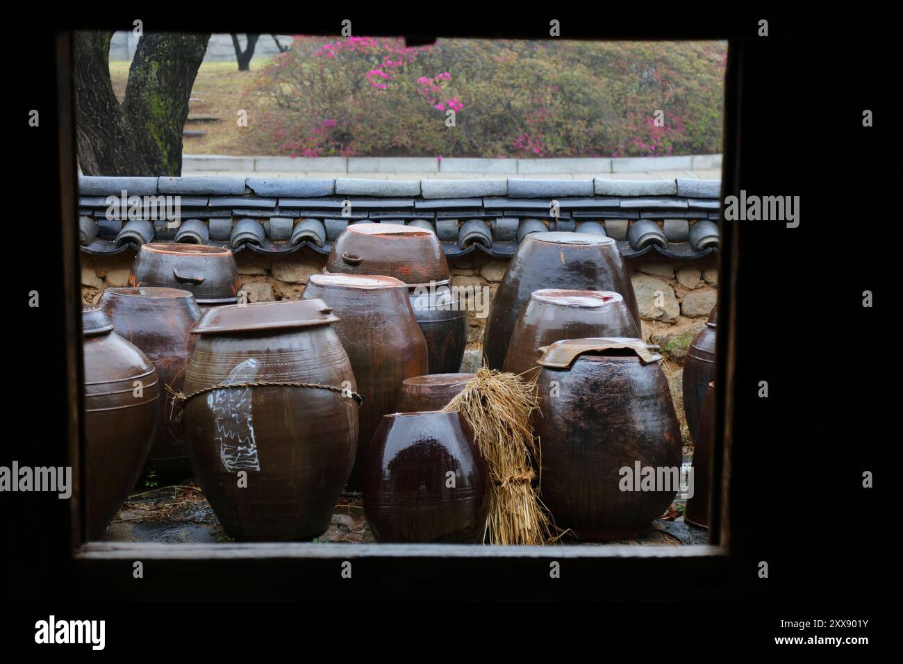 Earthenware onggi pots for making kimchi in Seoul, South Korea ...
