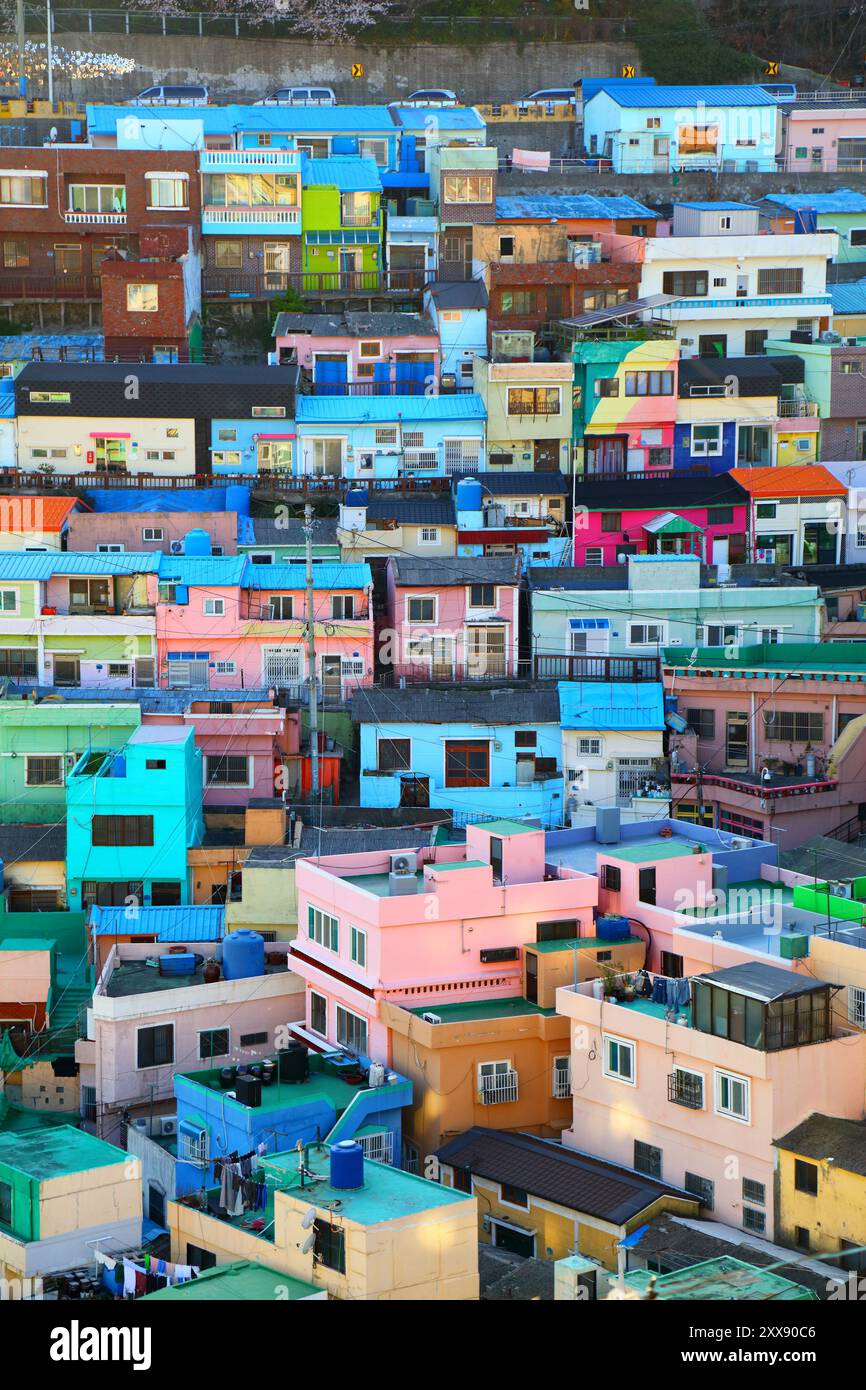 Gamcheon Culture Village district in Busan, South Korea. Colorful town ...